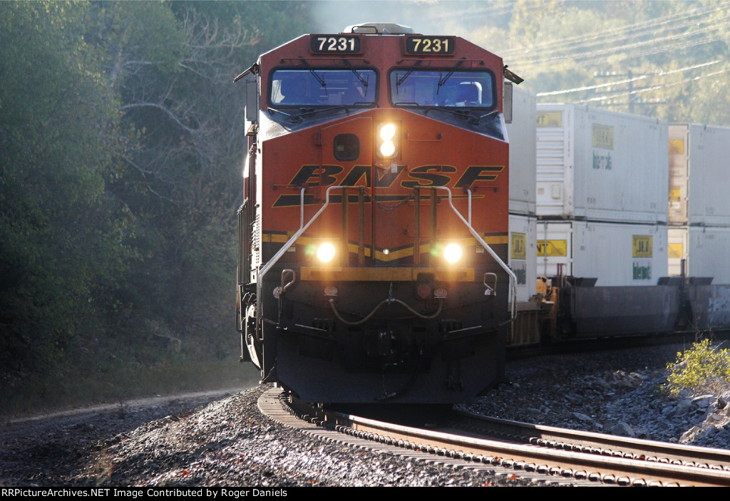 BNSF 7231